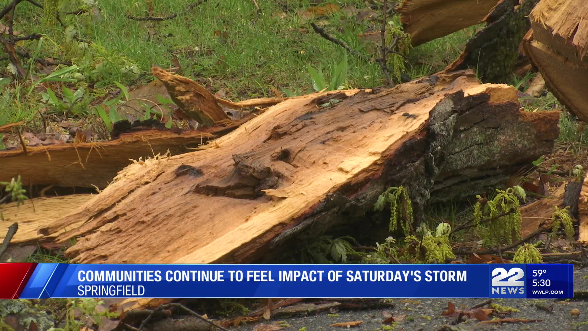 Springfield continues storm cleanup after heavy rainfall – WWLP
