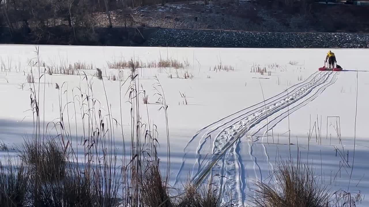 Firefighters attempt to rescue bald eagle on Watershops Pond – WWLP