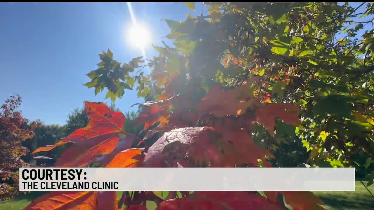 Len Rome’s Local Health: Do you love fall? – WYTV