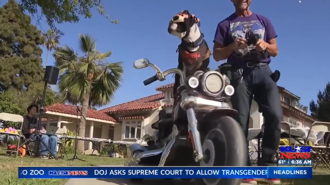KUSI Community Champion: Mark Shaffer and Chopper Jr. – FOX 5 San Diego ...